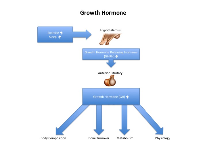 Sports Endocrinology – Dr Nicky Keay